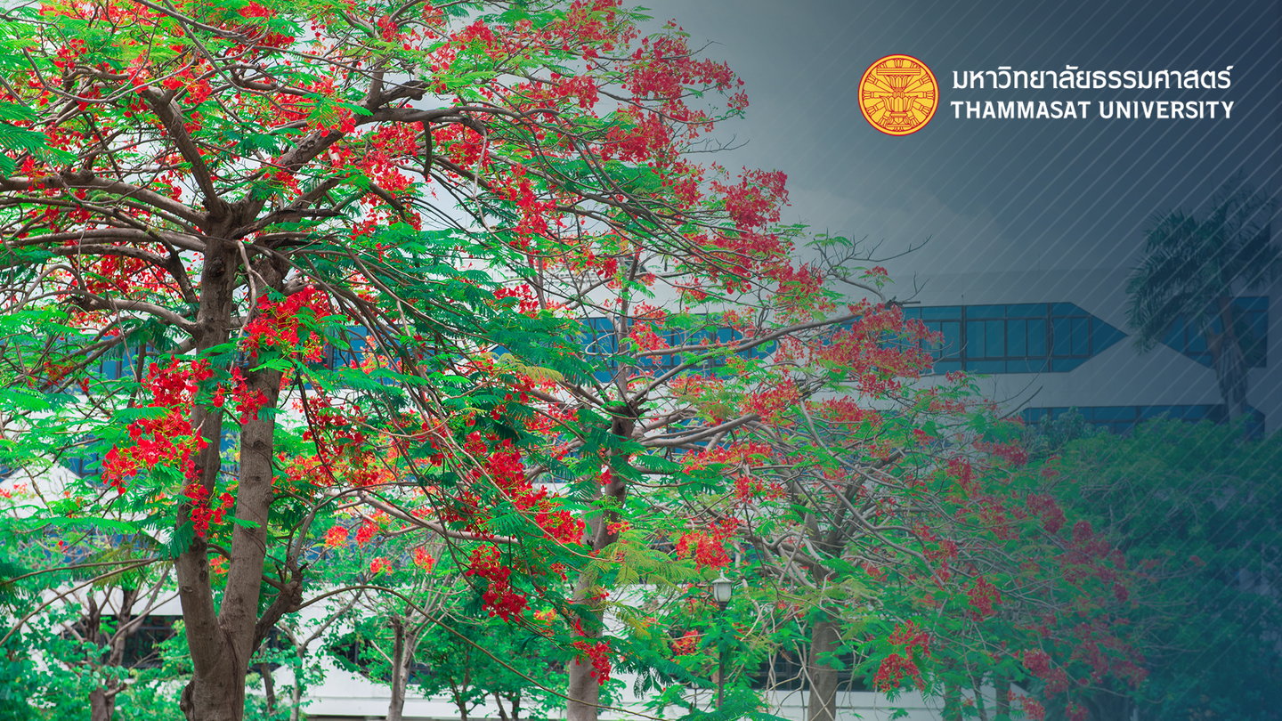 BE Thammasat - Bachelor of Economics, International Program